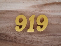 Angel Number 1010: Meaning, Symbolism, Twin Flame & More