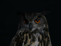 The Spiritual Meaning & Symbolism Of Rain: Full Guide