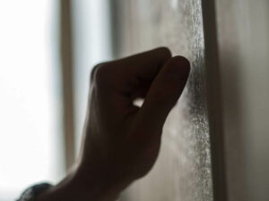 The Symbolism & Spiritual Meaning Of Gnats: Full Guide