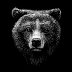 19 Animals That Represent Strength: Complete List