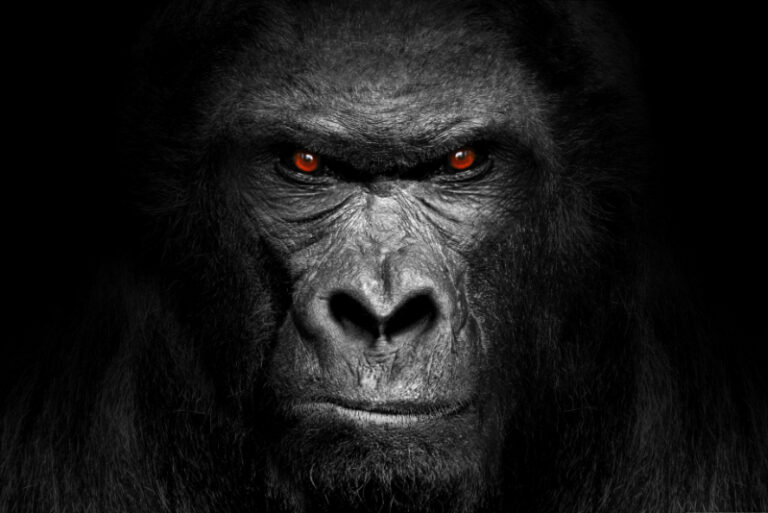 19 Animals That Represent Strength: Complete List