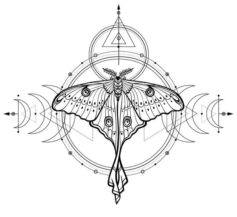 The Symbolism Spiritual Meaning Of Luna Moths The Symbolism Spiritual Meaning Of Luna Moths