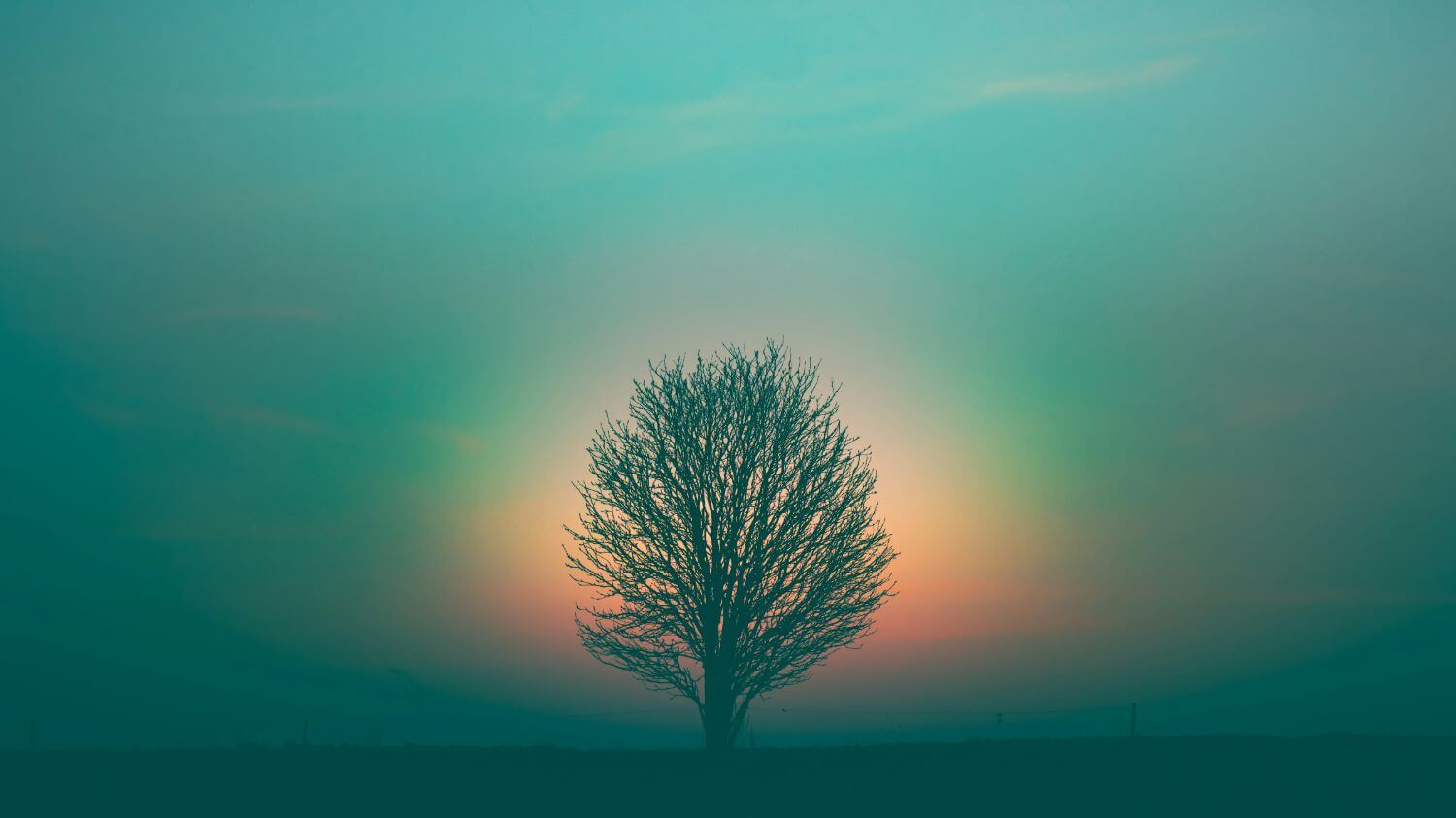 15 Signs You're Experiencing A Deep Spiritual Awakening